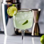 Vodka Gimlet Cocktail Recipe: Elevate Your Happy Hour with This Classic ...